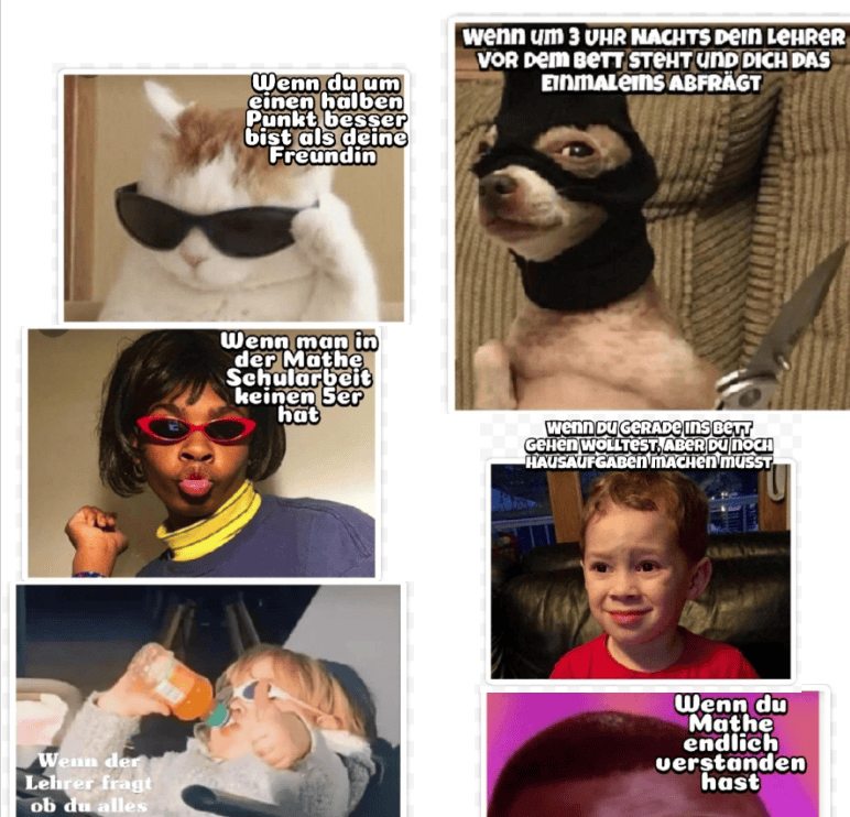 Memes im Deutschunterricht - Mittelschule Ried der Franziskanerinnen ...